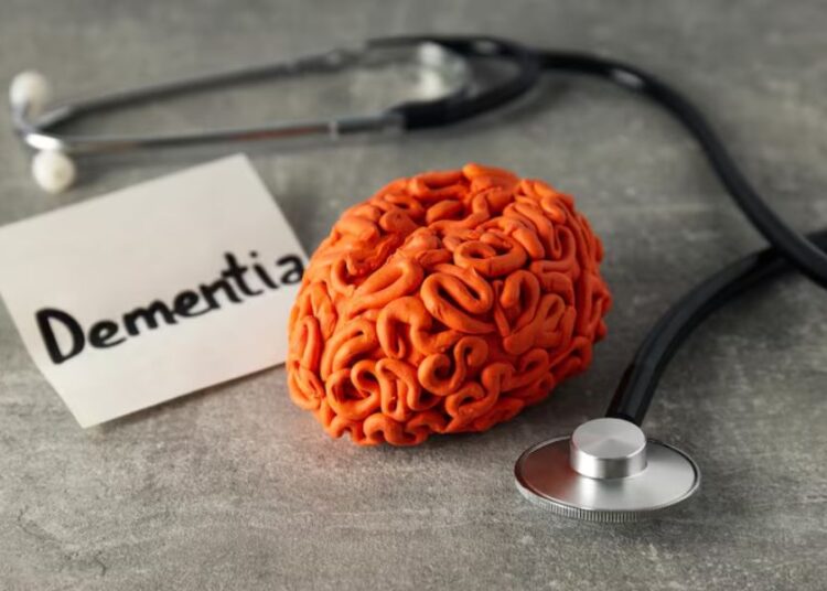 Suing a Landlord for Habitability Issues - American Judicial System