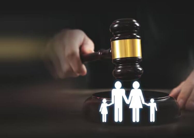 How Do Lawyers Use Math? Math In Law - American Judicial System